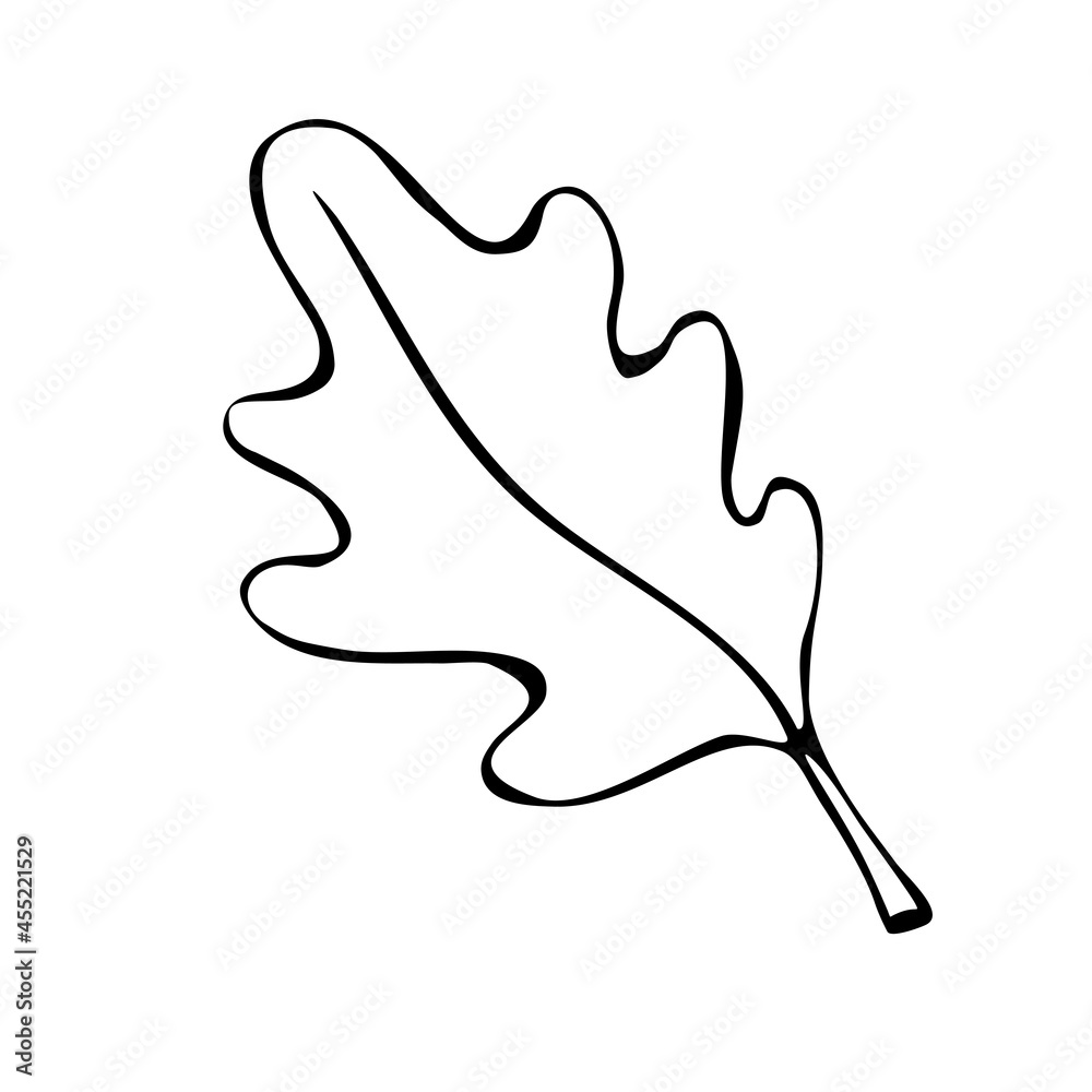 Vector illustration of an oak leaf. Doodle and outline elements of ...