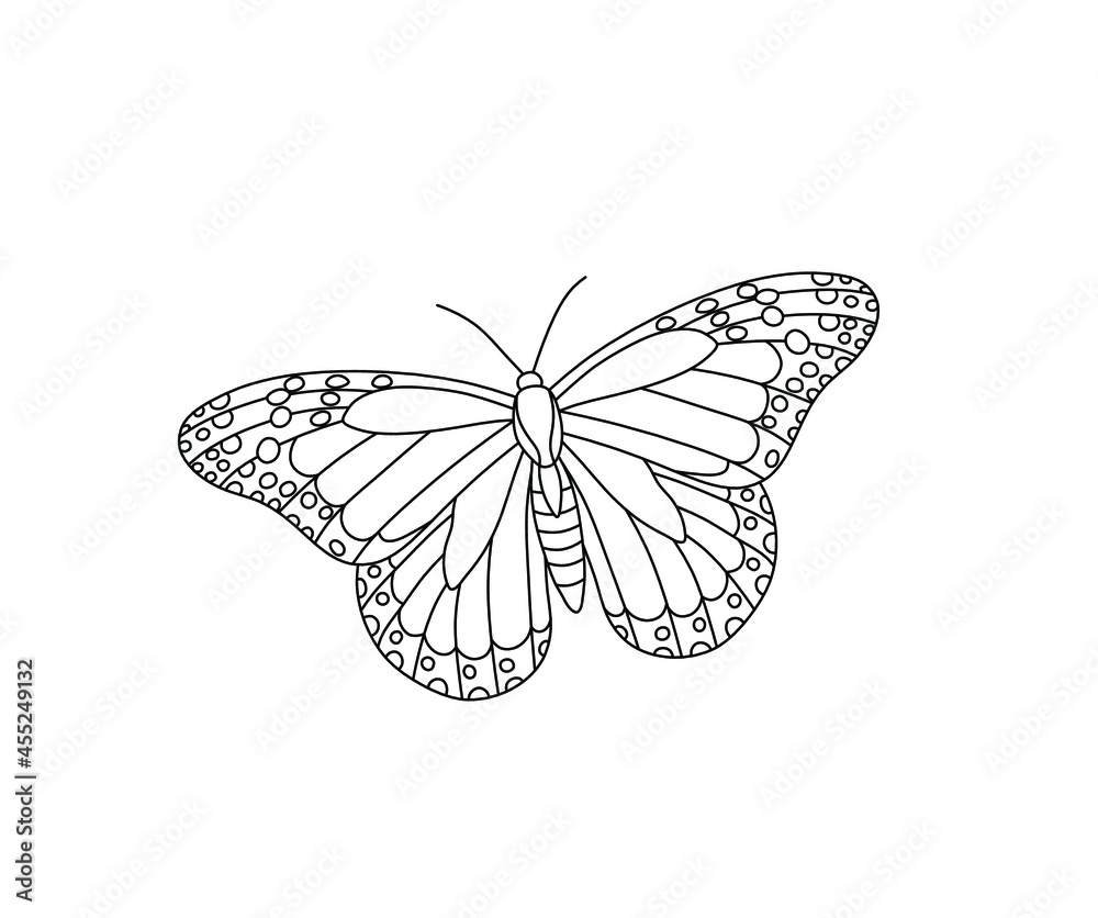 Vector isolated butterfly line contour drawing. Colorless black and ...
