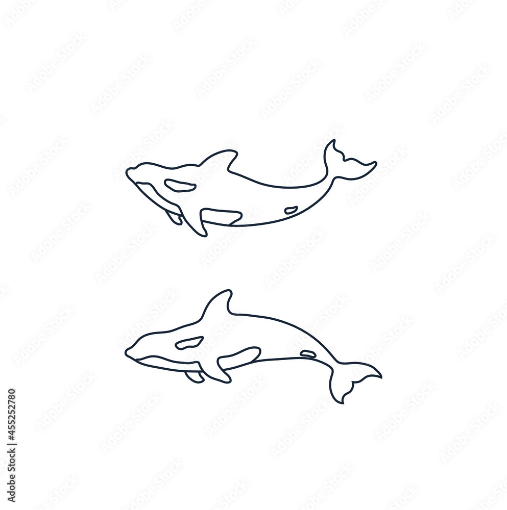 Vector isolated killer whale orca contour line drawing. Colorless black ...