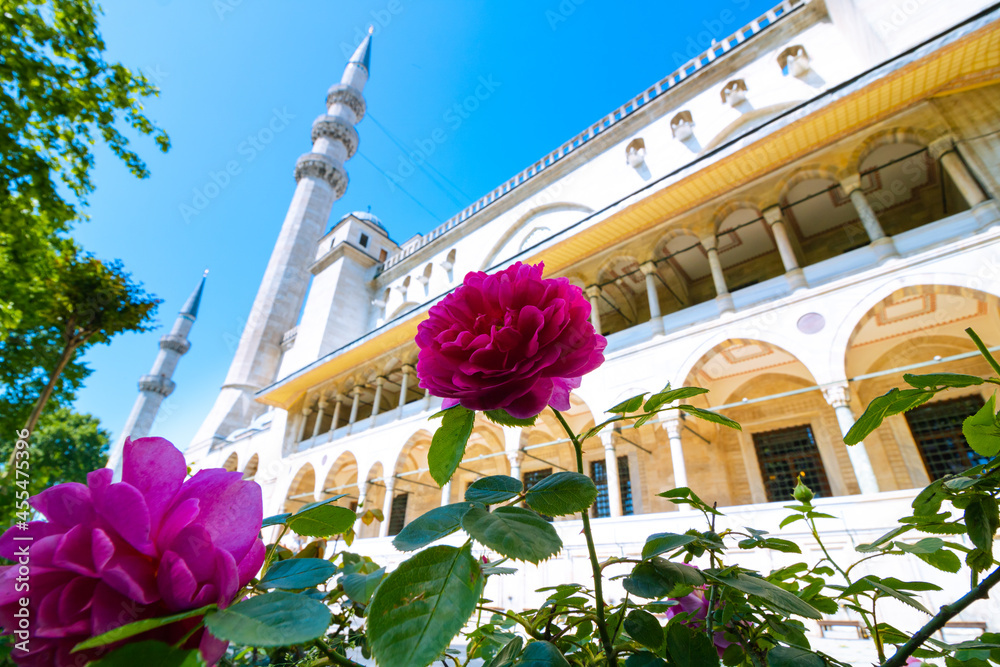 Pink roses in the garden of Suleymaniye Mosque in Istanbul. Islamic ...