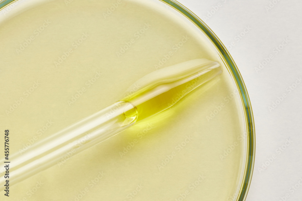 Oil dropper and Petri dish. Stock Photo | Adobe Stock