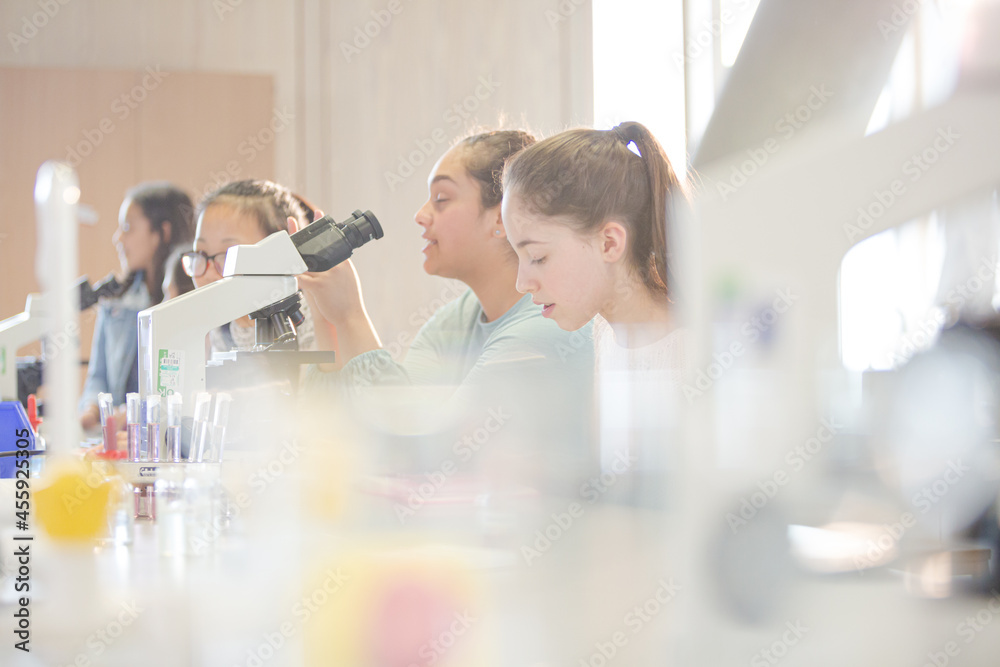 Girl students using microscope, conducting scientific experiment in ...
