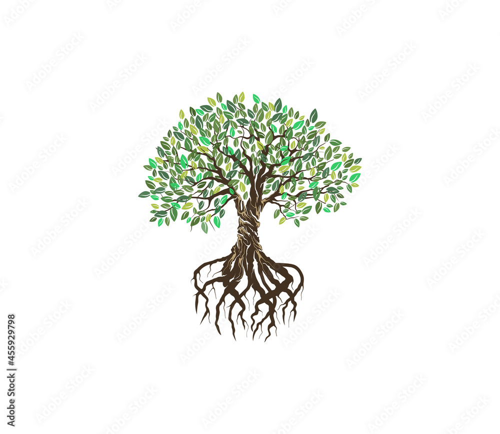 tree and roots hand drawn vector illustrations Stock Vector | Adobe Stock