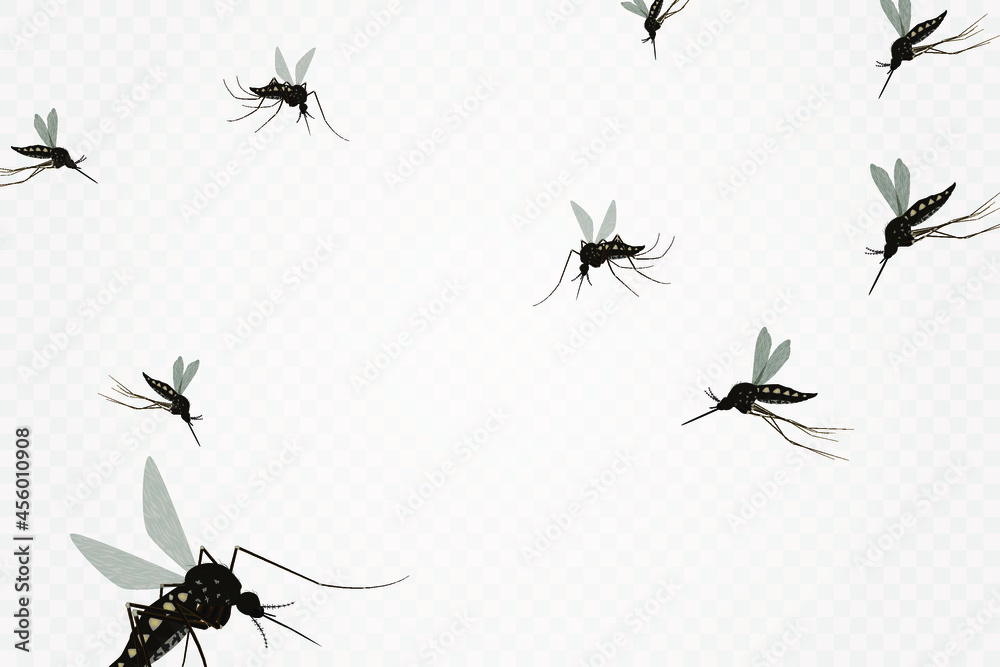 Isolated mosquito white background. Realistic dengue mosquito in vector ...