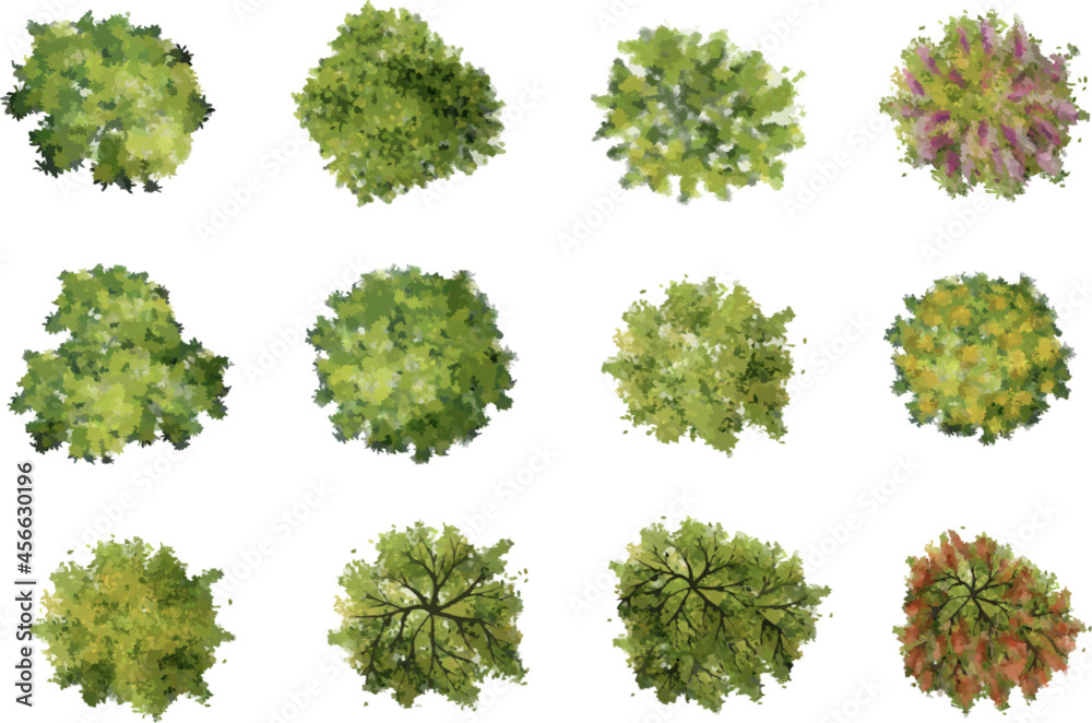 Vector of abstract watercolor tree top view isolated on white background for landscape plan and ...