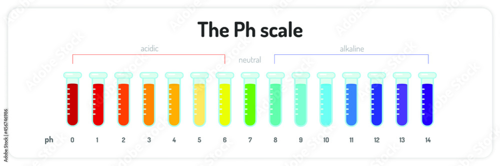 The Ph scale infographic. Isolated vector illustration on white ...