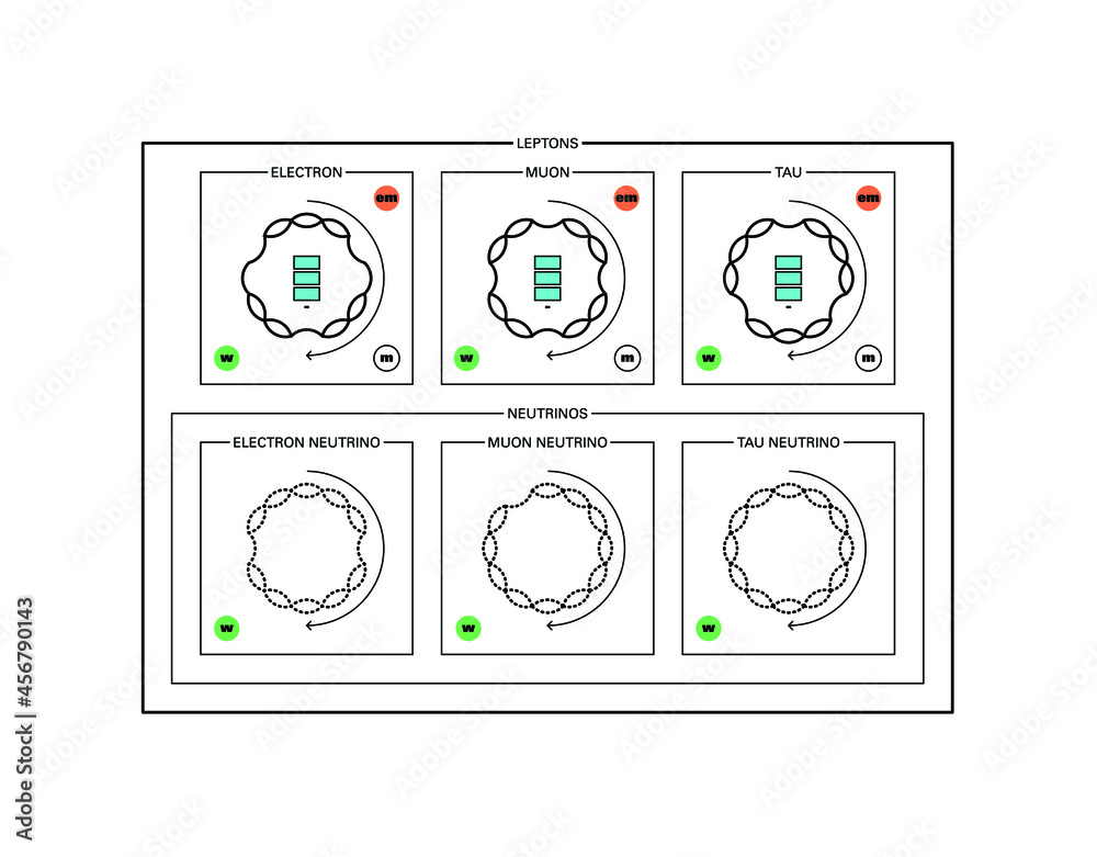 Conceptual illustration of the fundamental particles of standard model ...