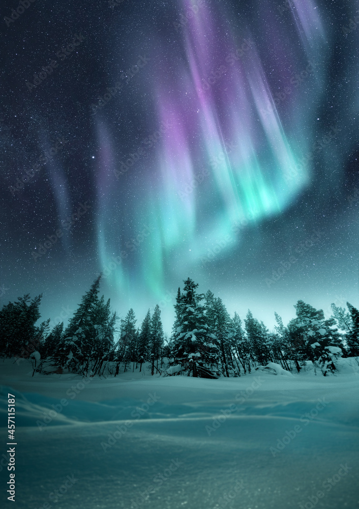 Stock Foto The Aurora Northern Lights flicker in the winter night sky above a forest in Sweden. Photo Composite. Adobe Stock