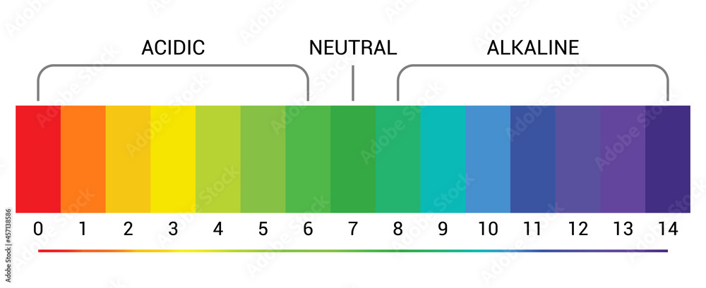 Vector de Stock pH scale indicator chart diagram acidic alkaline measure. pH analysis vector ...