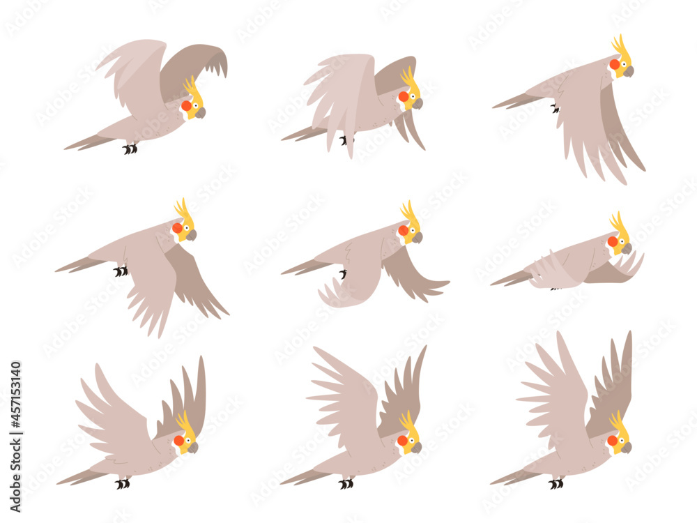Cartoon cockatoo parrot fly animation frames sequence. Animated sprites ...
