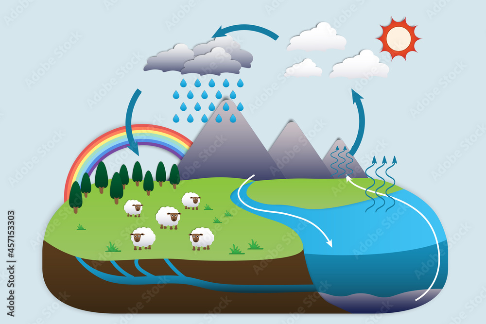 Vector Diagram of the water cycle in nature, hydrological cycle. ESP10 ...