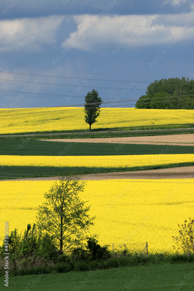 Sleza Landscape Park at the foot of the Sleza Mountain, in south ...