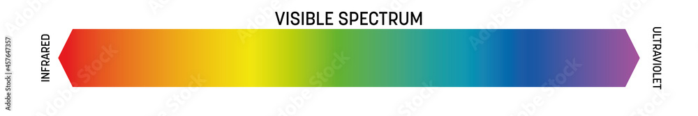 Visible spectrum of light. Electromagnetic spectrum visible by human ...