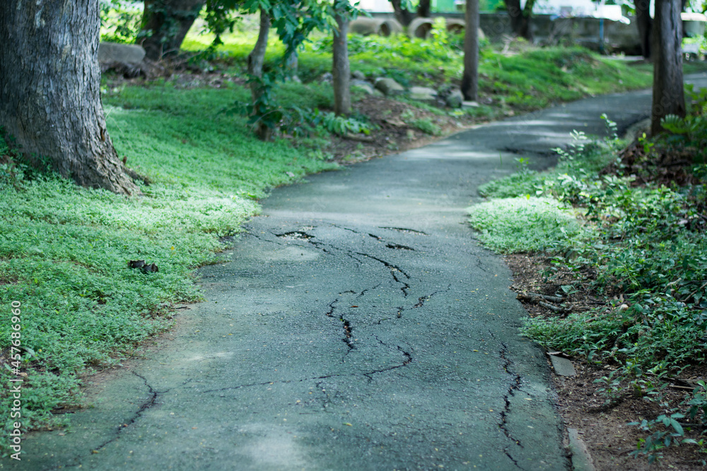 Stockfoto sidewalk looking like waves as the roots of a tree push them ...