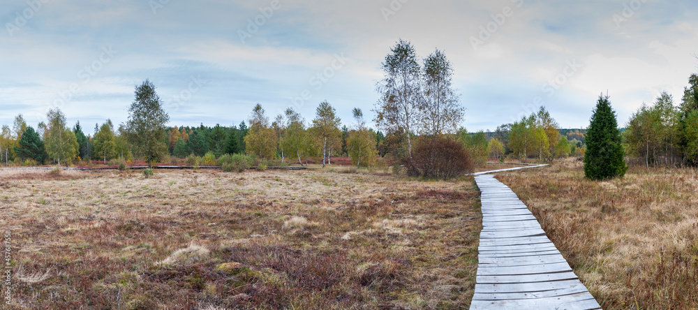 Tarnawa peat bog reserve, Bieszczady Mountains Stock Photo | Adobe Stock