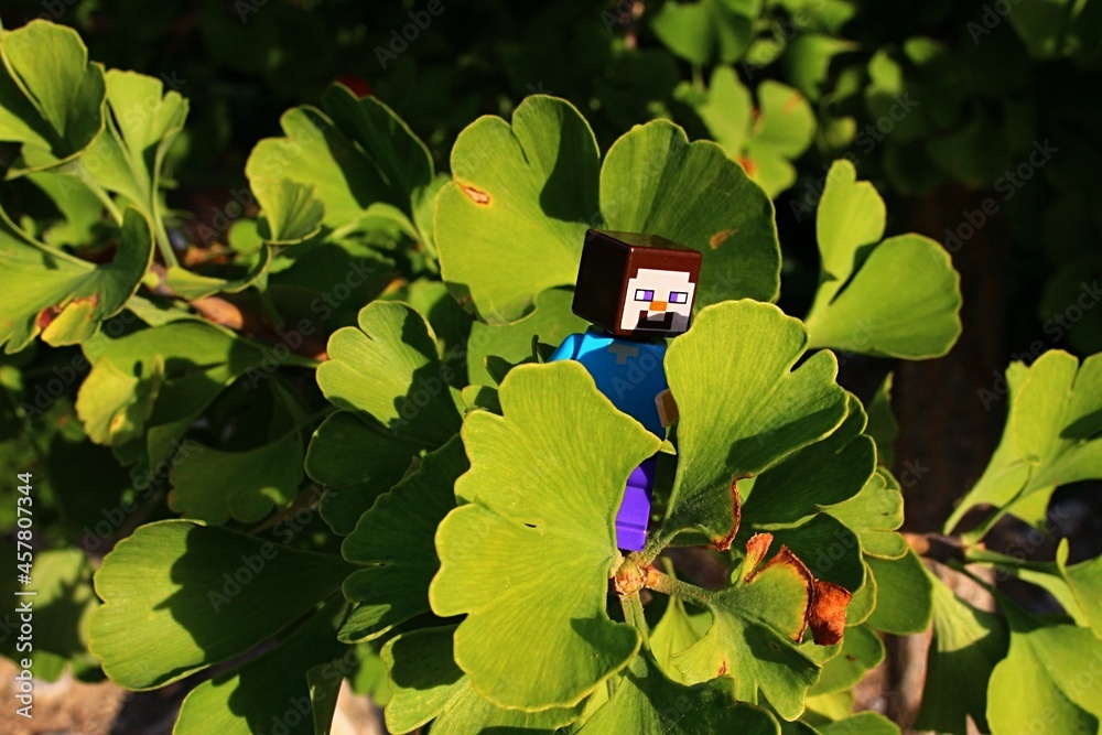 LEGO Minecraft action figure of Steve, hidden behind large leaves of ...