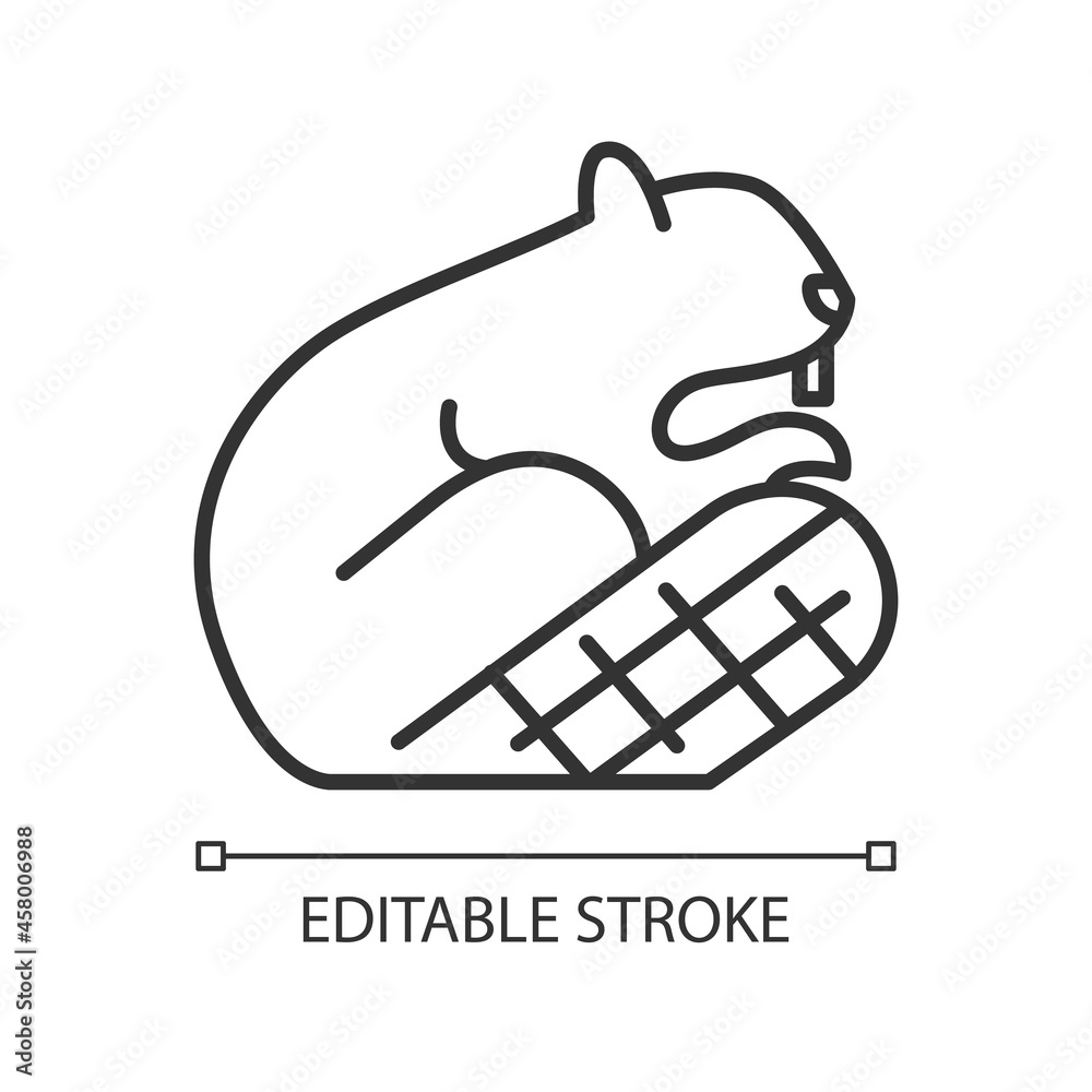 Beaver linear icon. Symbol of sovereignty. Herbivore wild animal ...
