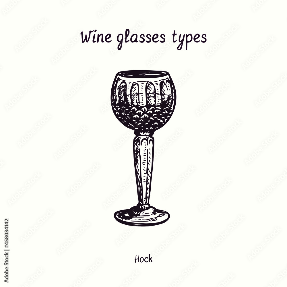 Wine glasses types collection, Hock glass. Ink black and white doodle ...
