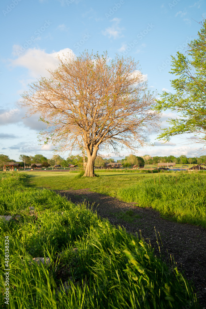 Iowa Big Creek Lake State Park Sunset Stock Photo | Adobe Stock
