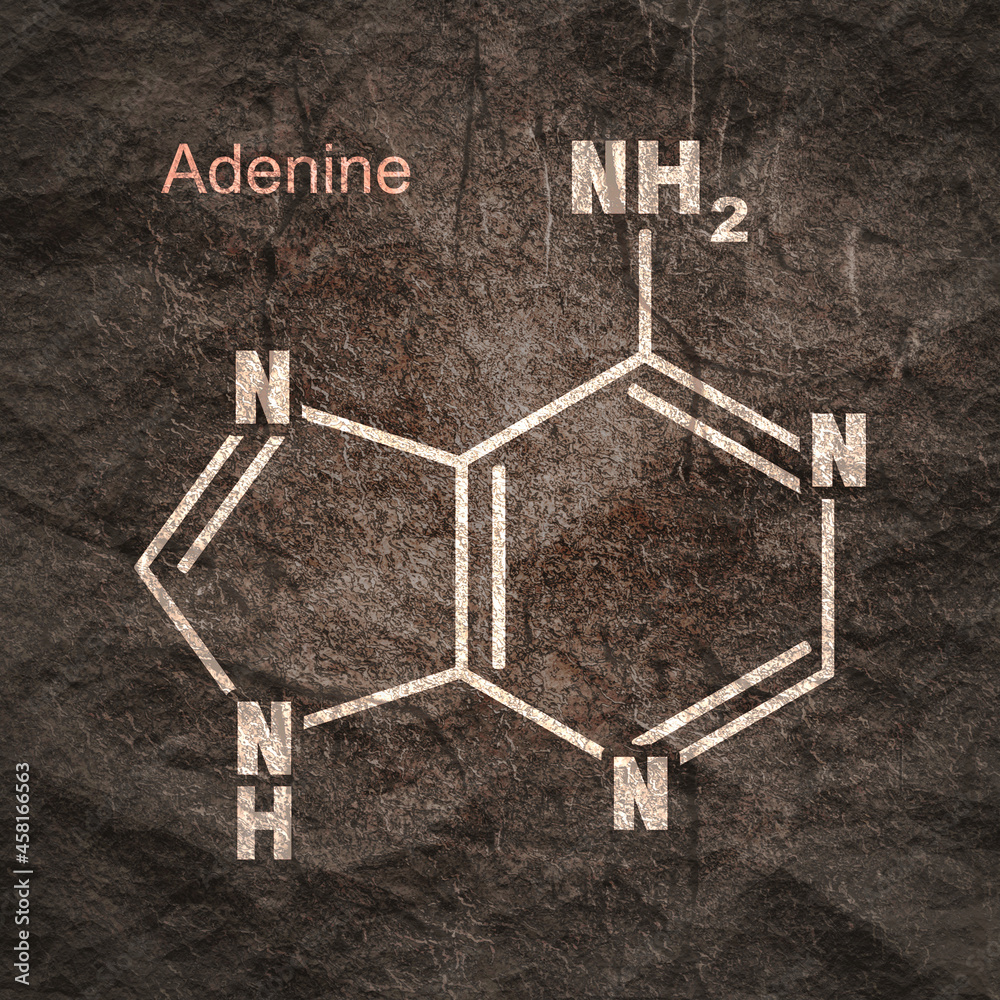Chemical structural formula of adenine - DNA and RNA nitrogen base ...