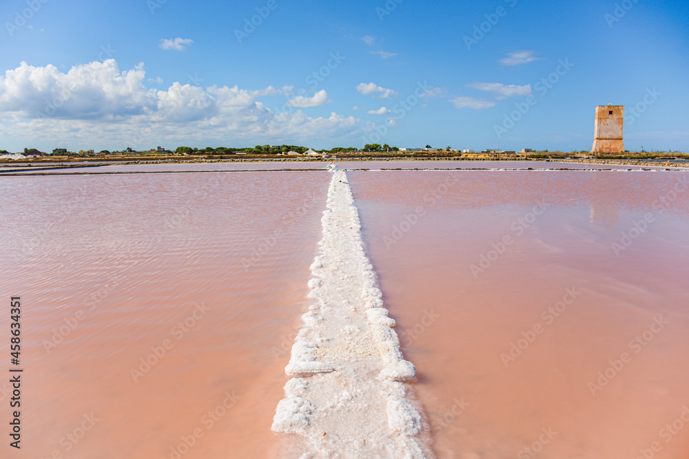 Paisaje de agua color rosa con cielo azul al fondo en el horizonte ...