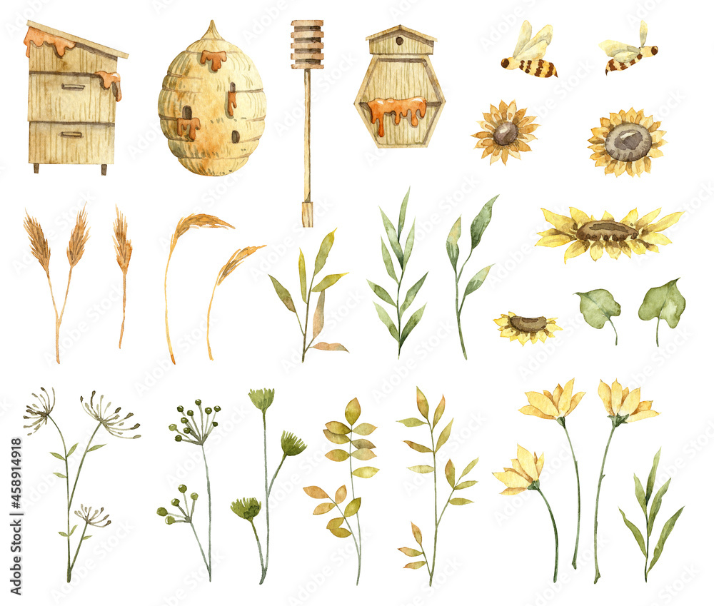 Collection of watercolor hand painted clip art. Autumn harvest plants ...