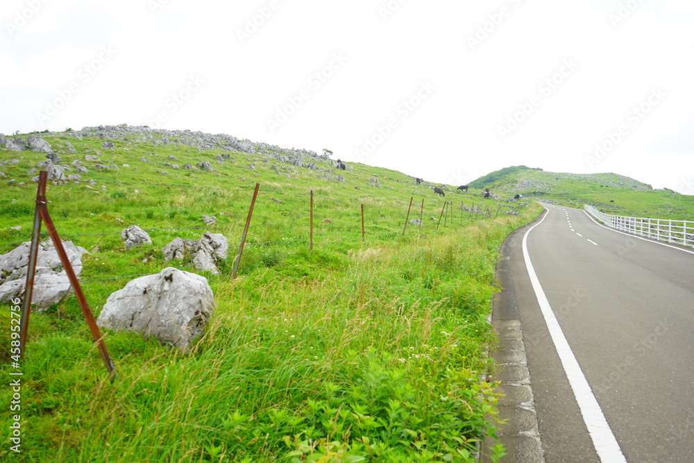 Beautiful Outdoor Green Field View of Shikoku Karst Natural Park in ...