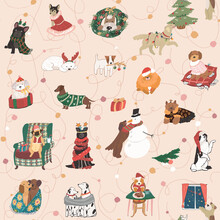 Border Collie Puppy Christmas Free Stock Photo - Public Domain Pictures