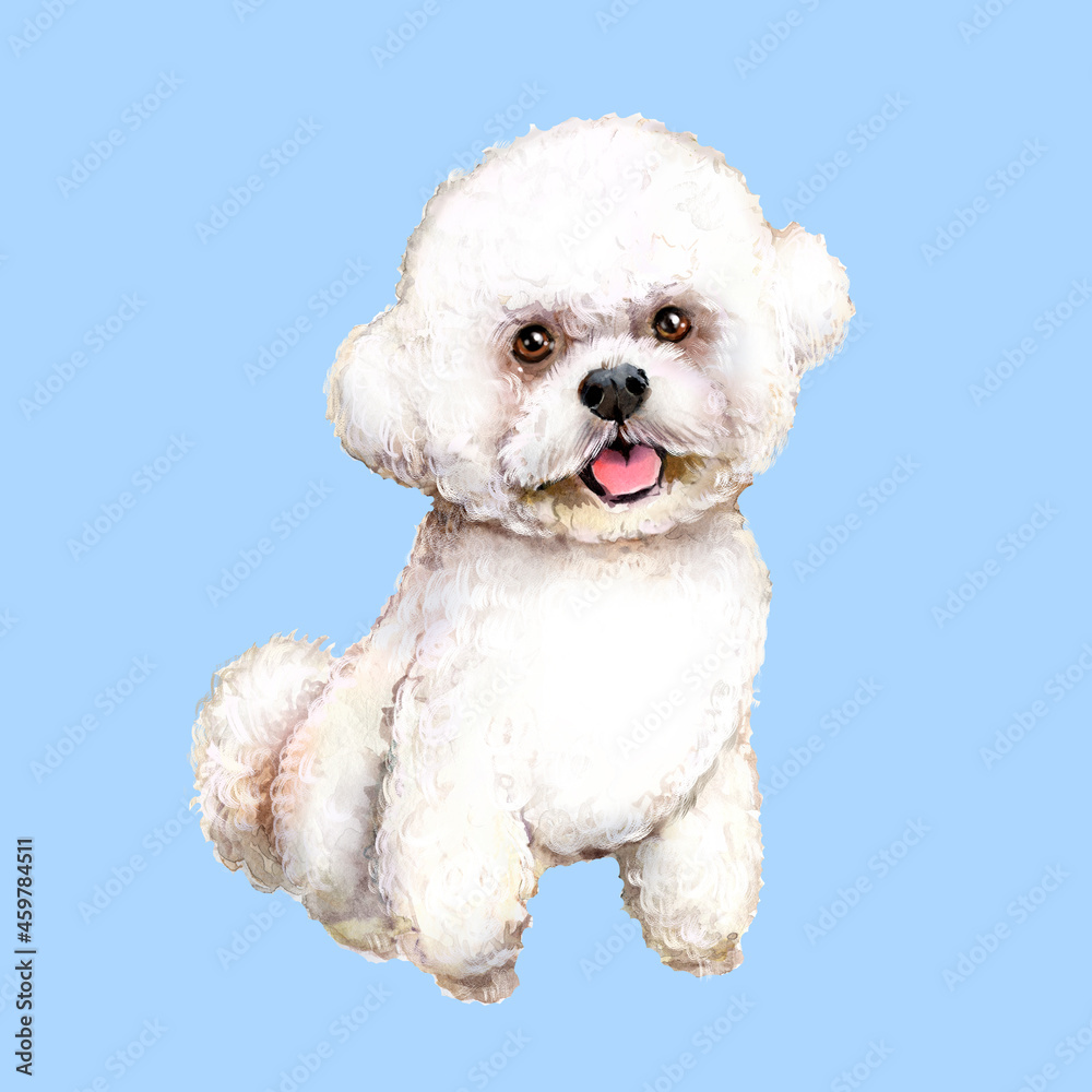 Watercolor illustration of a dog bishon frize, dog, animal, pet, white ...