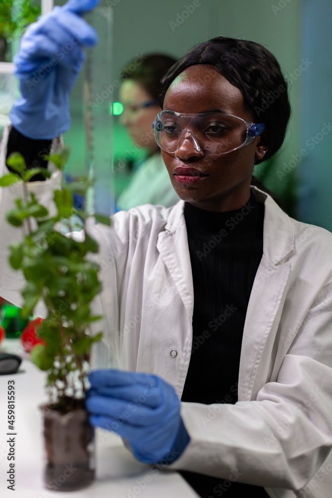 Foto African american biologist researcher measuring sapling using ...