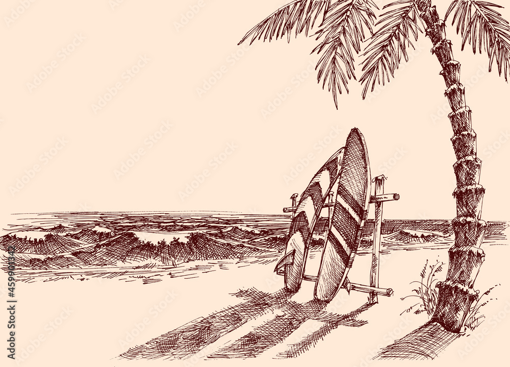 Palm Trees On The Beach Drawing