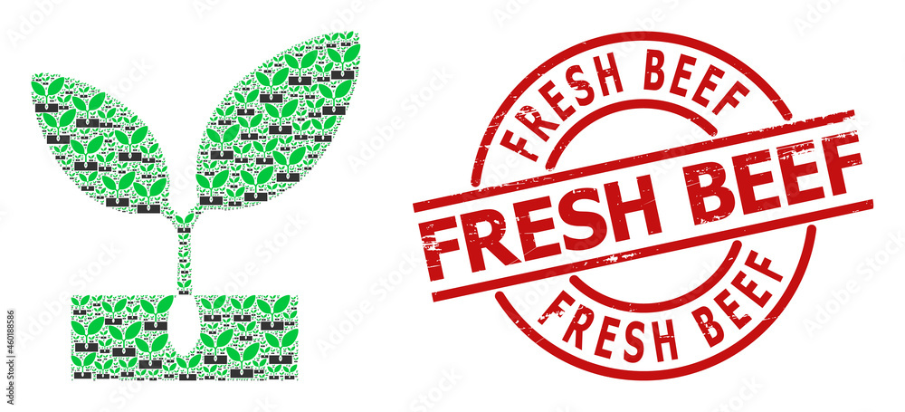 Red round seal contains Fresh Beef text inside circle. Vector plant ...