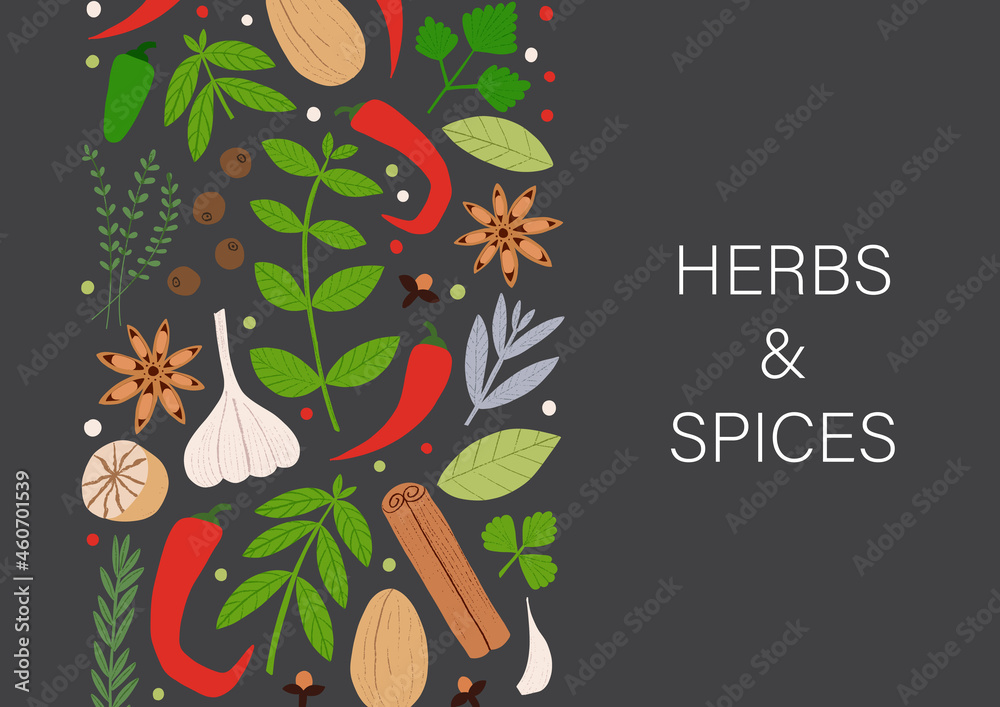 Spices and herbs banner. Flat hand drawn spicy cooking ingredients ...