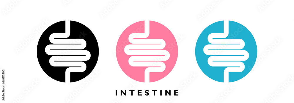 Set Intestine human organ. Intestine, digestive system symbols. Design ...