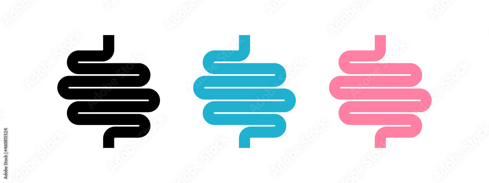 Set Intestine human organ. Intestine, digestive system symbols. Design ...