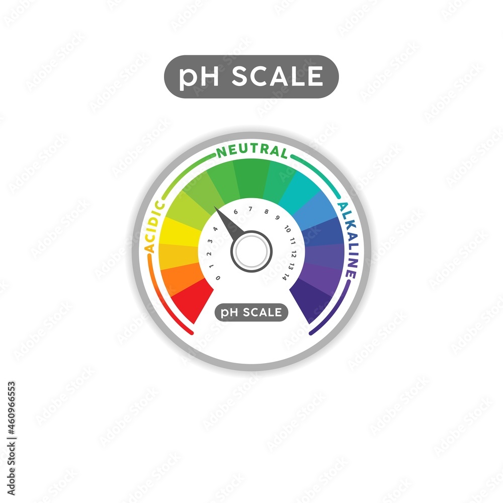 pH Scale Indicator Chart Diagram. pH analysis vector chemical scale ...
