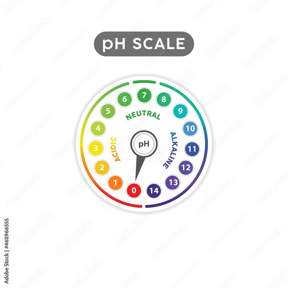 pH Scale Indicator Chart Diagram. pH analysis vector chemical scale ...