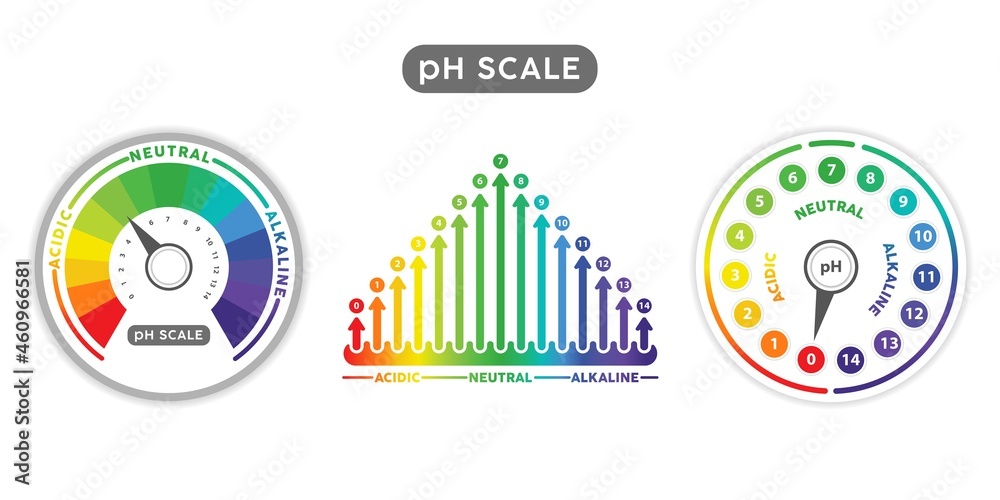pH Scale Indicator Chart Diagram. pH analysis vector chemical scale ...