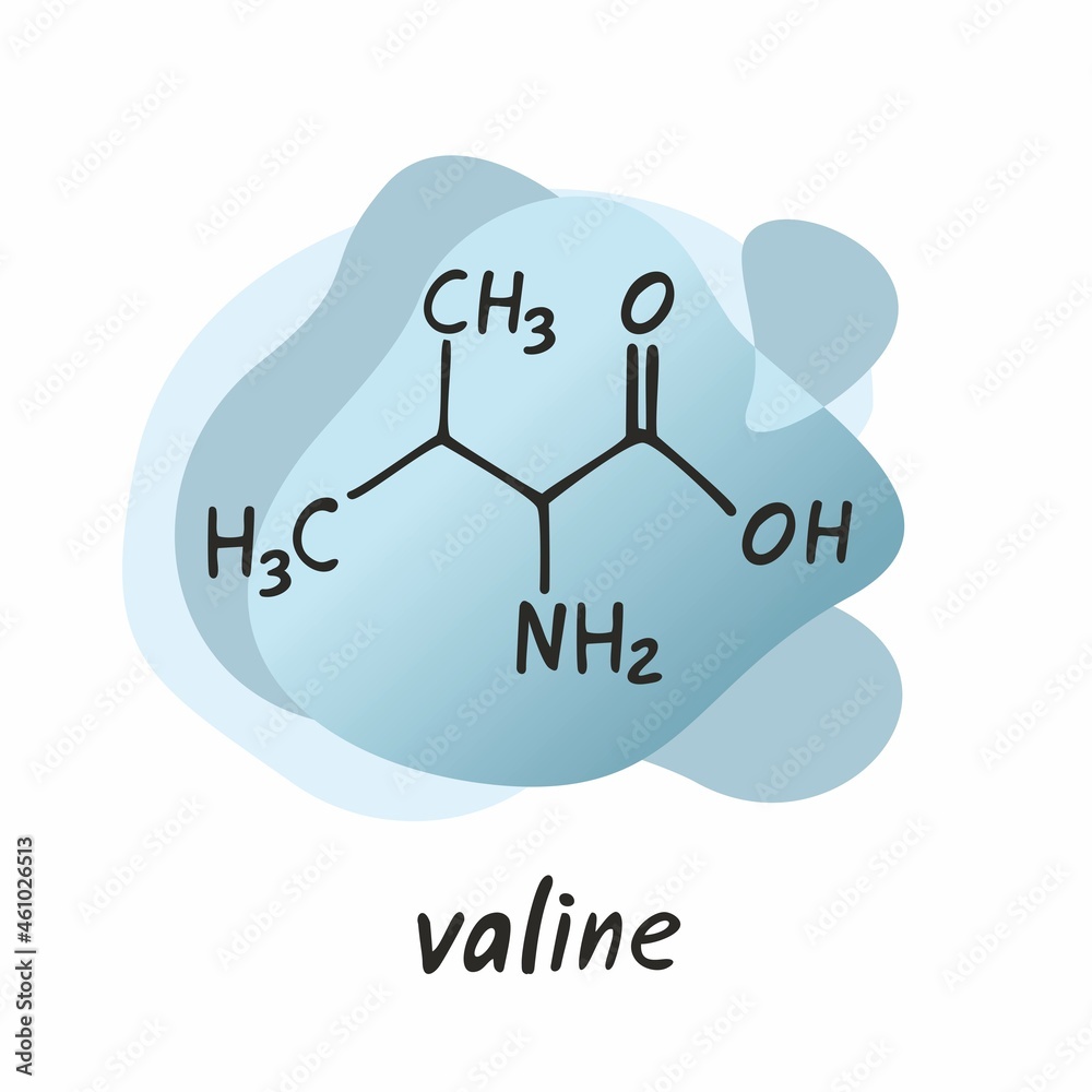 Chemical formula of the amino acid valine is isolated on a colored ...