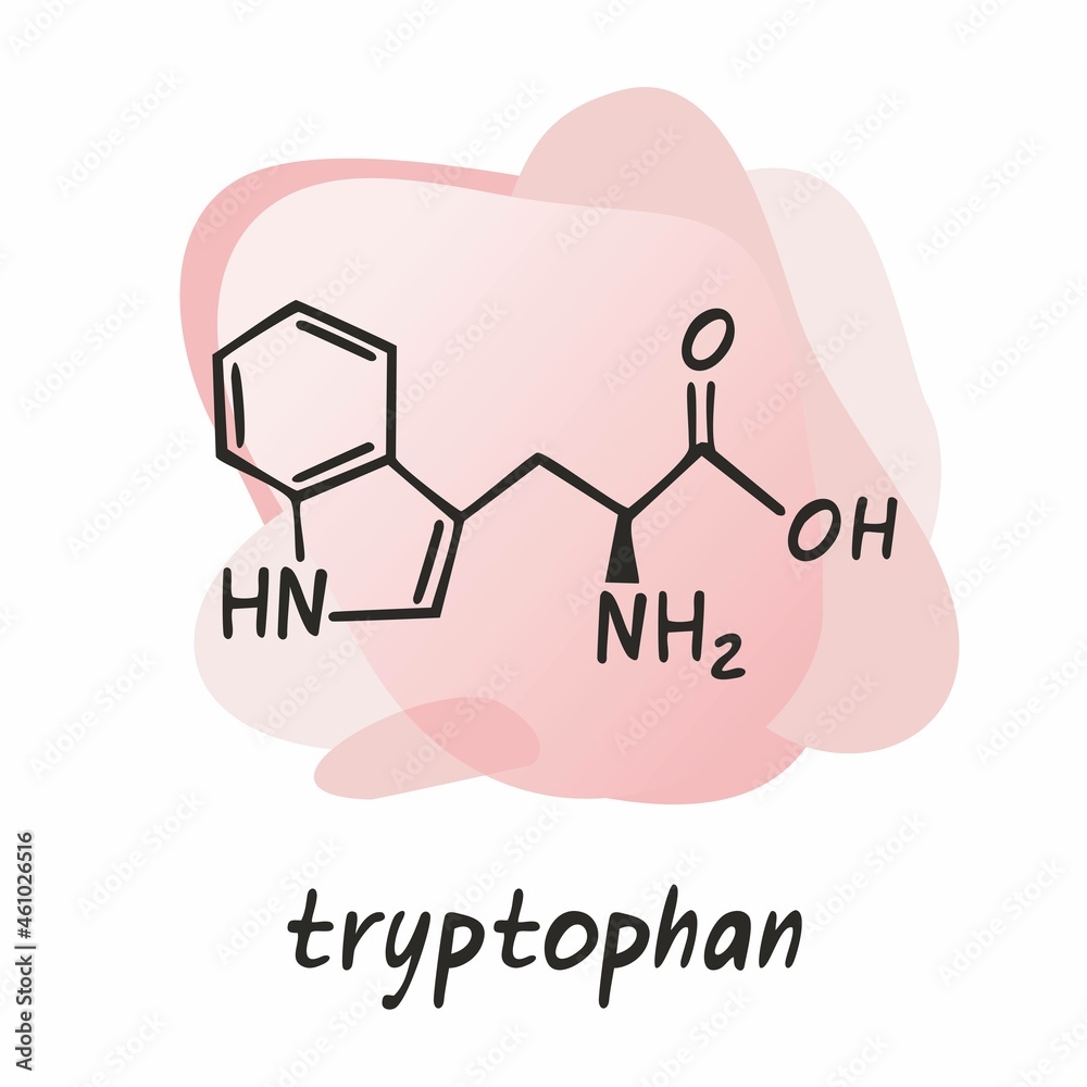 Chemical formula of the amino acid tryptofan is isolated on a grey ...