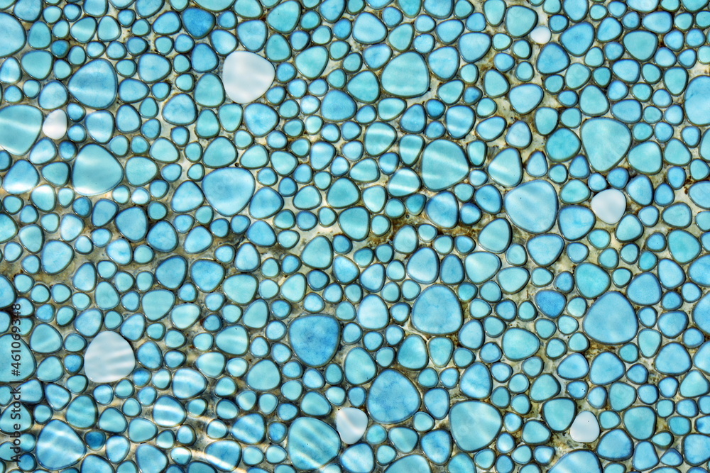 Round glazed ceramic pool tiles in blue color, texture background ...