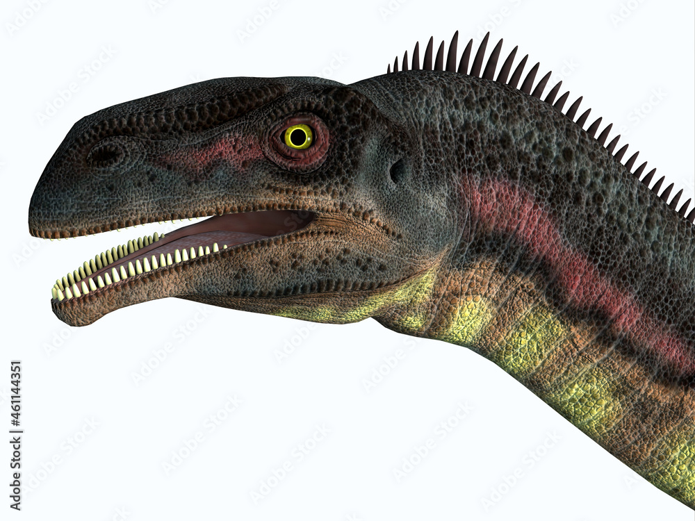 Stock-Illustration „Plateosaurus Dinosaur Head - Plateosaurus was a herbivorous prosauropod ...