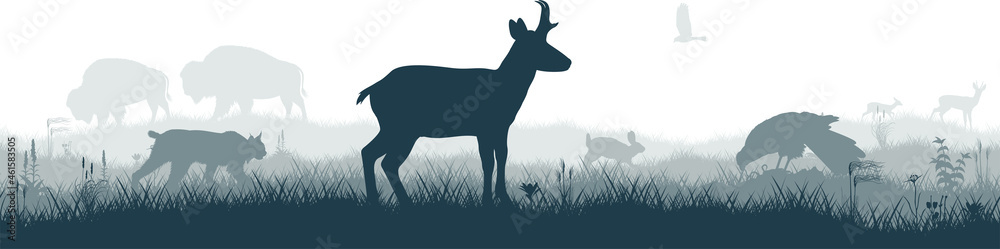 Seamless panorama of the prarie with pronghorn, kite, bobcat, rabbit ...
