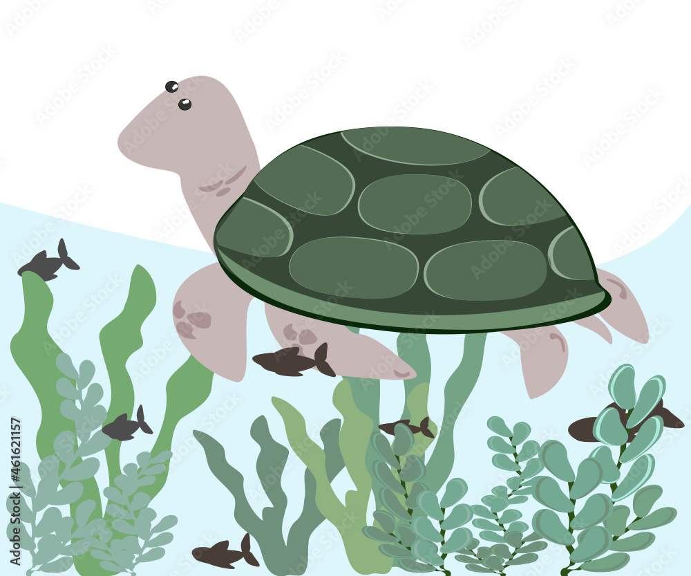 Cute cartoon turtle sea creature illustration vector, frame, boundary ...
