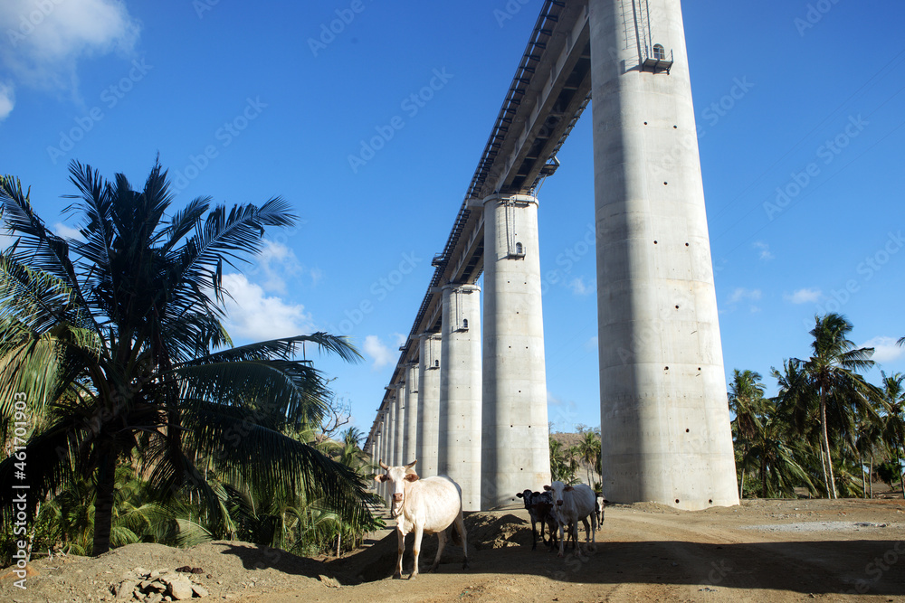 Bridge Concrete Pillars Railway Line Standard gauge Railway SGR ...