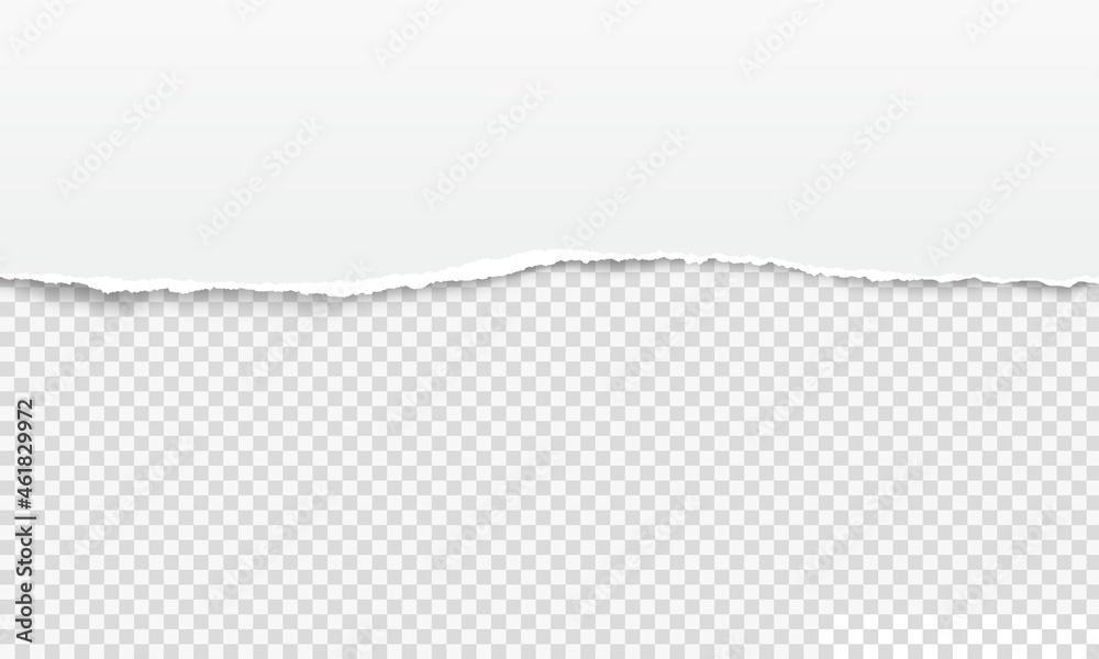Ripped paper edge, white torn page strip. Realistic horizontal ragged ...