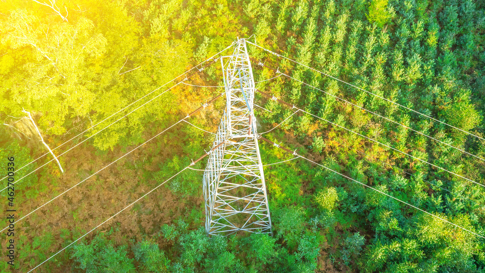 high-voltage electric tower among trees, power transmission towers ...