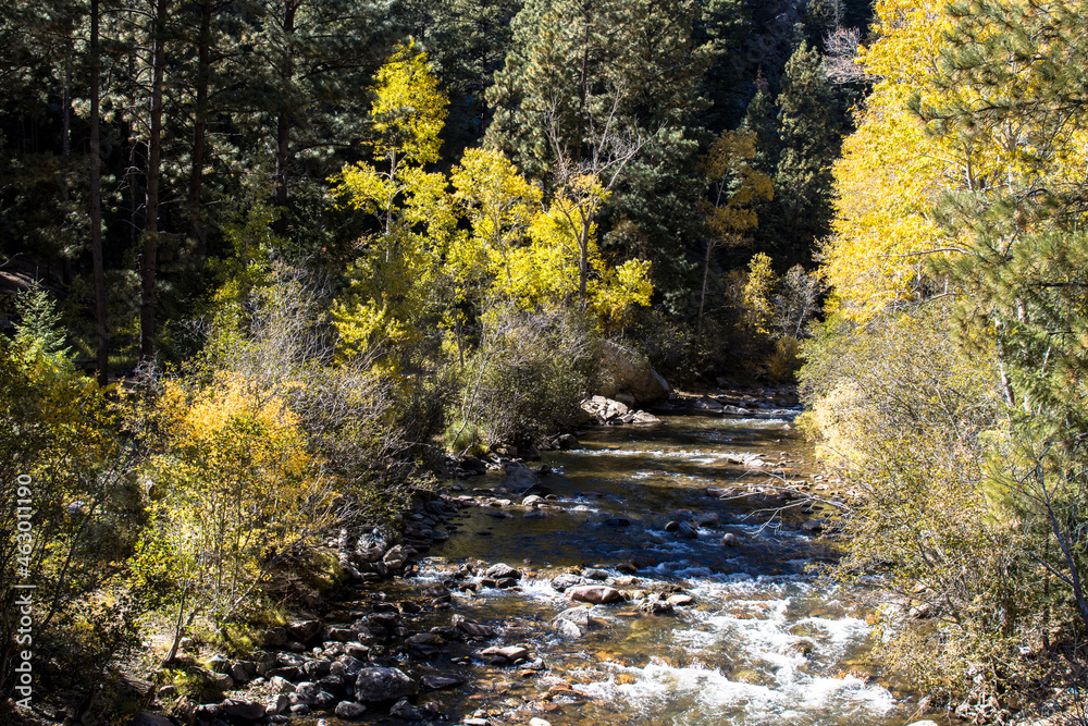 The Pecos River races through fall color in Pecos River Canyon State ...