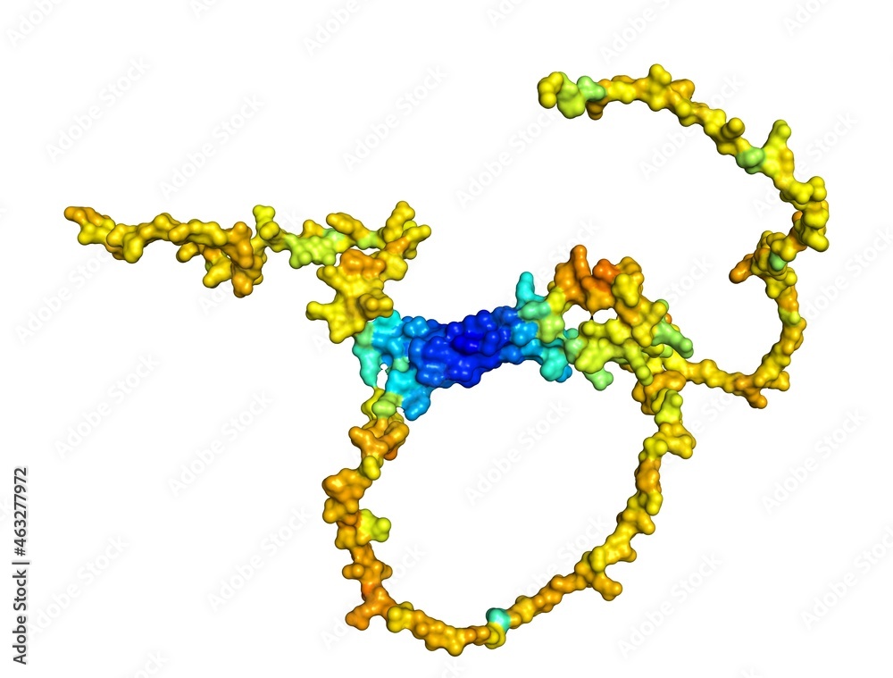 3D rendering of Transmembrane protein 74B as predicted by alphafold and ...