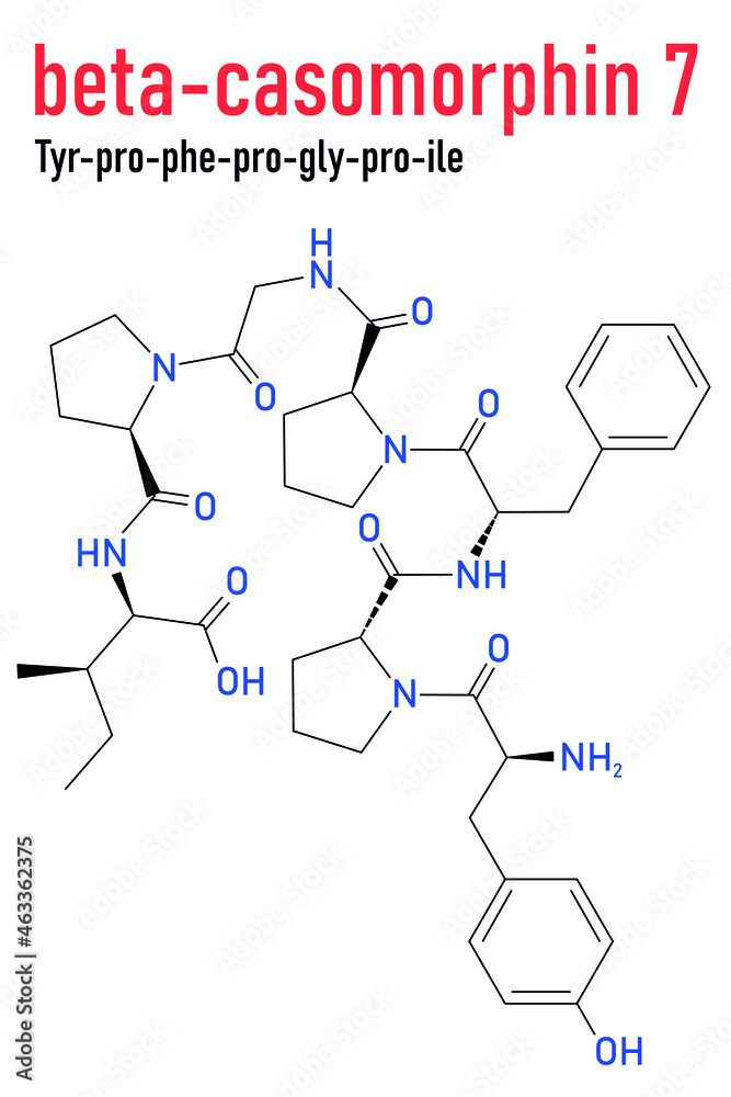 Beta-casomorphin peptide 7 molecule. Breakdown product of casein that ...